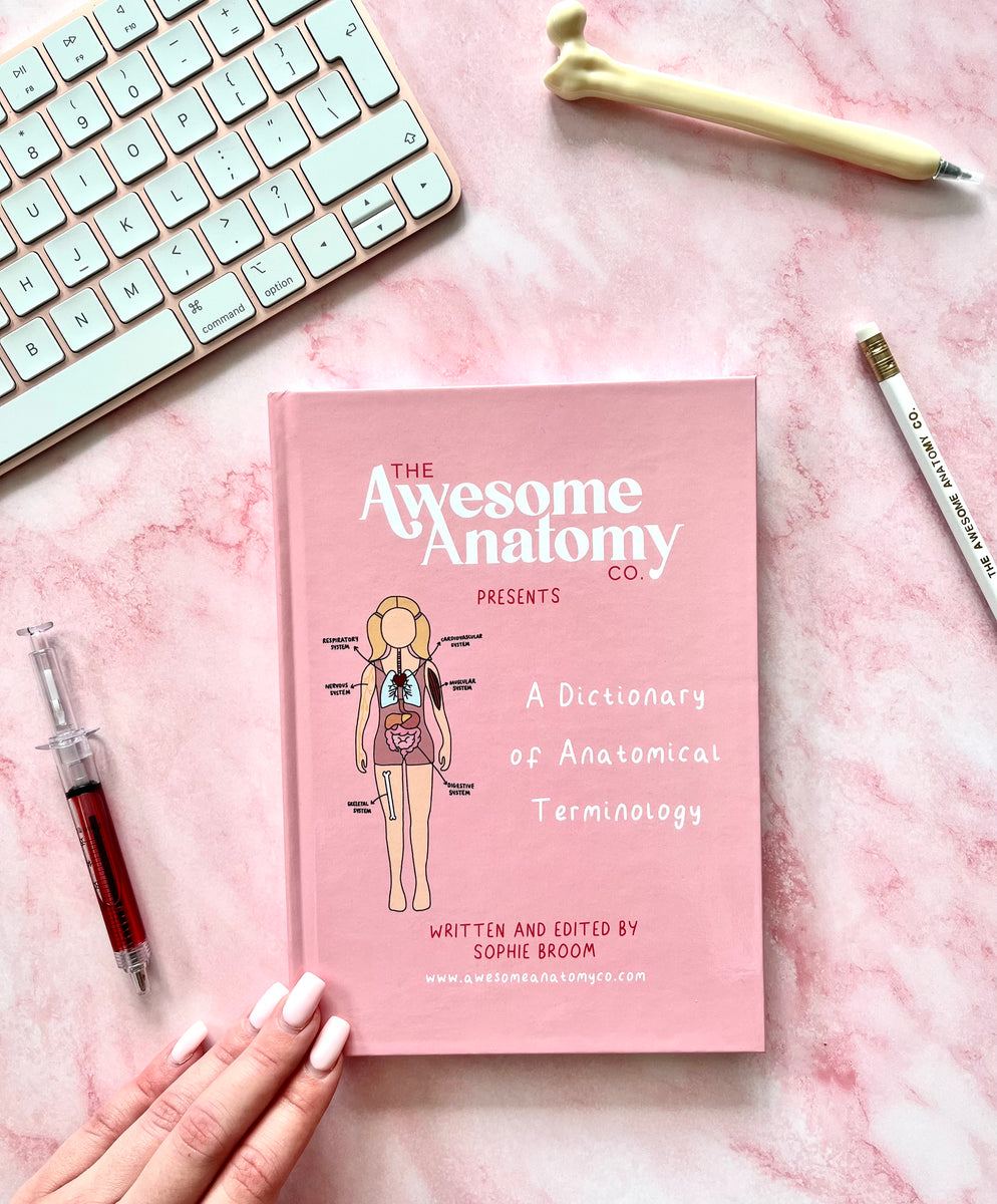 Dictionary of Anatomical Terminology – The Awesome Anatomy Company