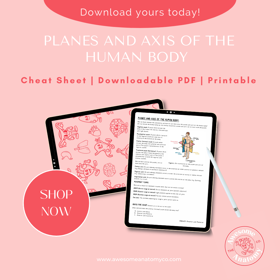 PDF A4 Cheat Sheet Planes And Axis Of The Human Body Digital Download ...