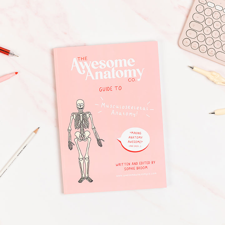 Musculoskeletal (MSK) Anatomy Revision Guide Study Book – The Awesome ...