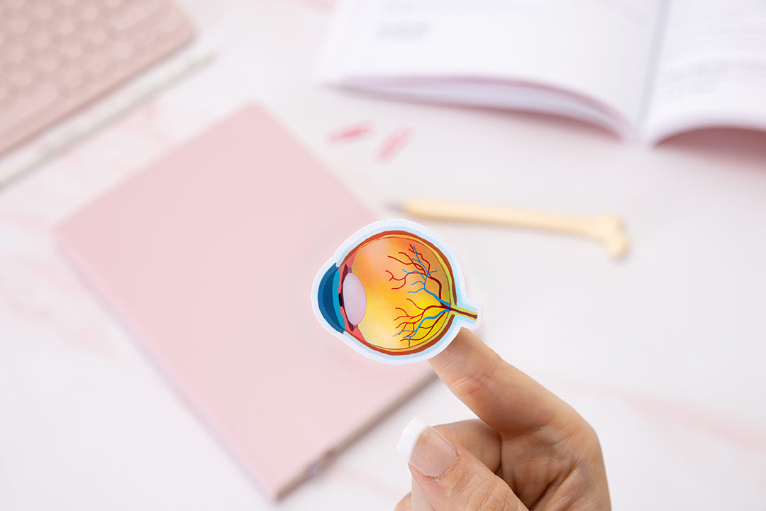 Holographic Eyeball Waterproof Vinyl Sticker – The Awesome Anatomy Company