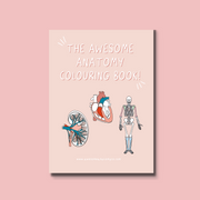Collections – Page 2 – The Awesome Anatomy Company