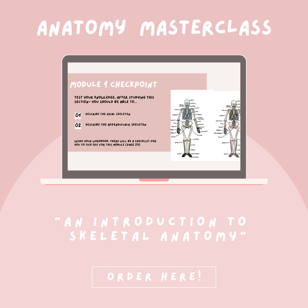 Anatomy Masterclass- An Introduction To Skeletal MSK Anatomy- Mastercl ...