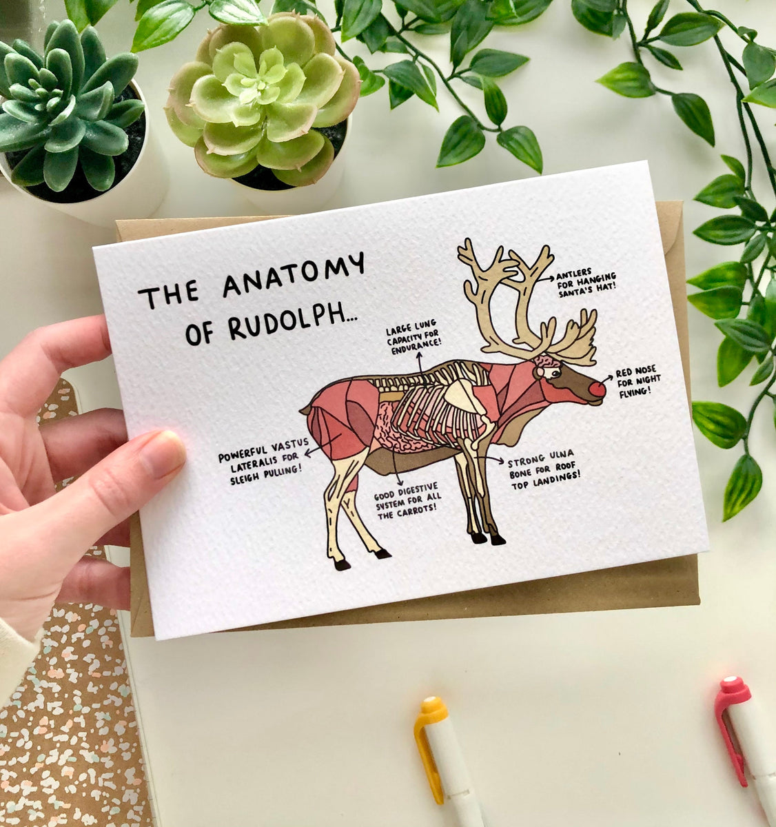 Christmas Card 5x7" The Anatomy Of Rudolph // Rudolph The Red Nose Rei ...